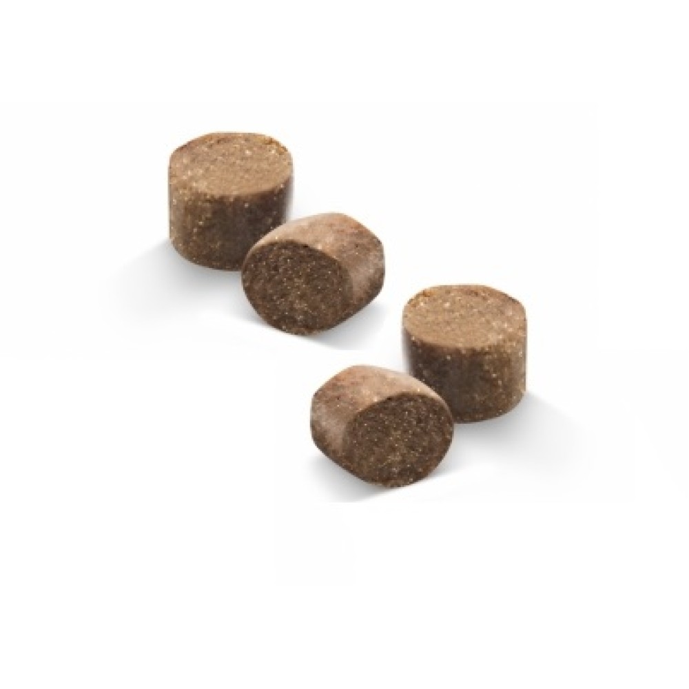 Boxby Snack Functional - Joint & Mobility / 022 2174