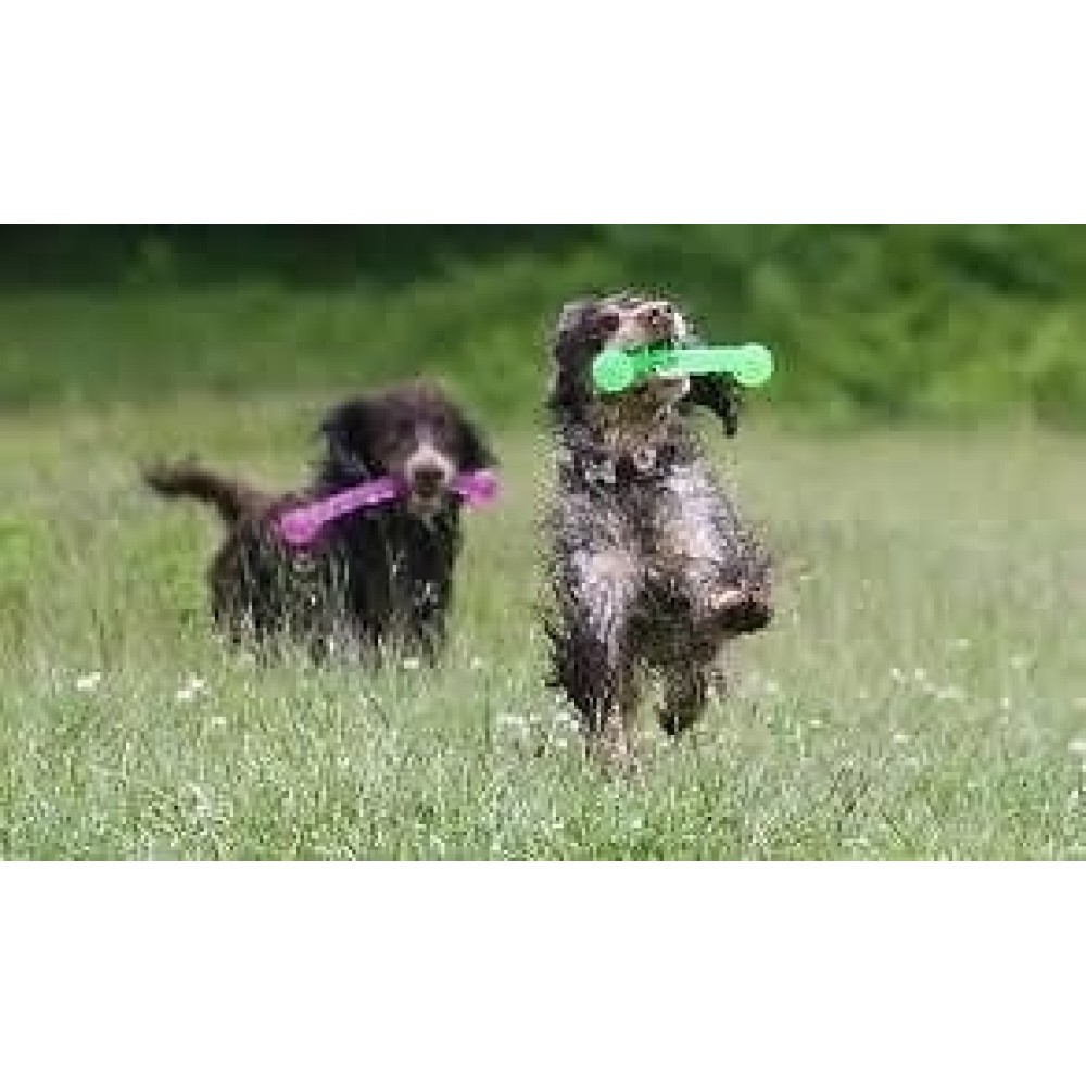 Kong Hond Safestix - Small 30 cm / 020 6585
